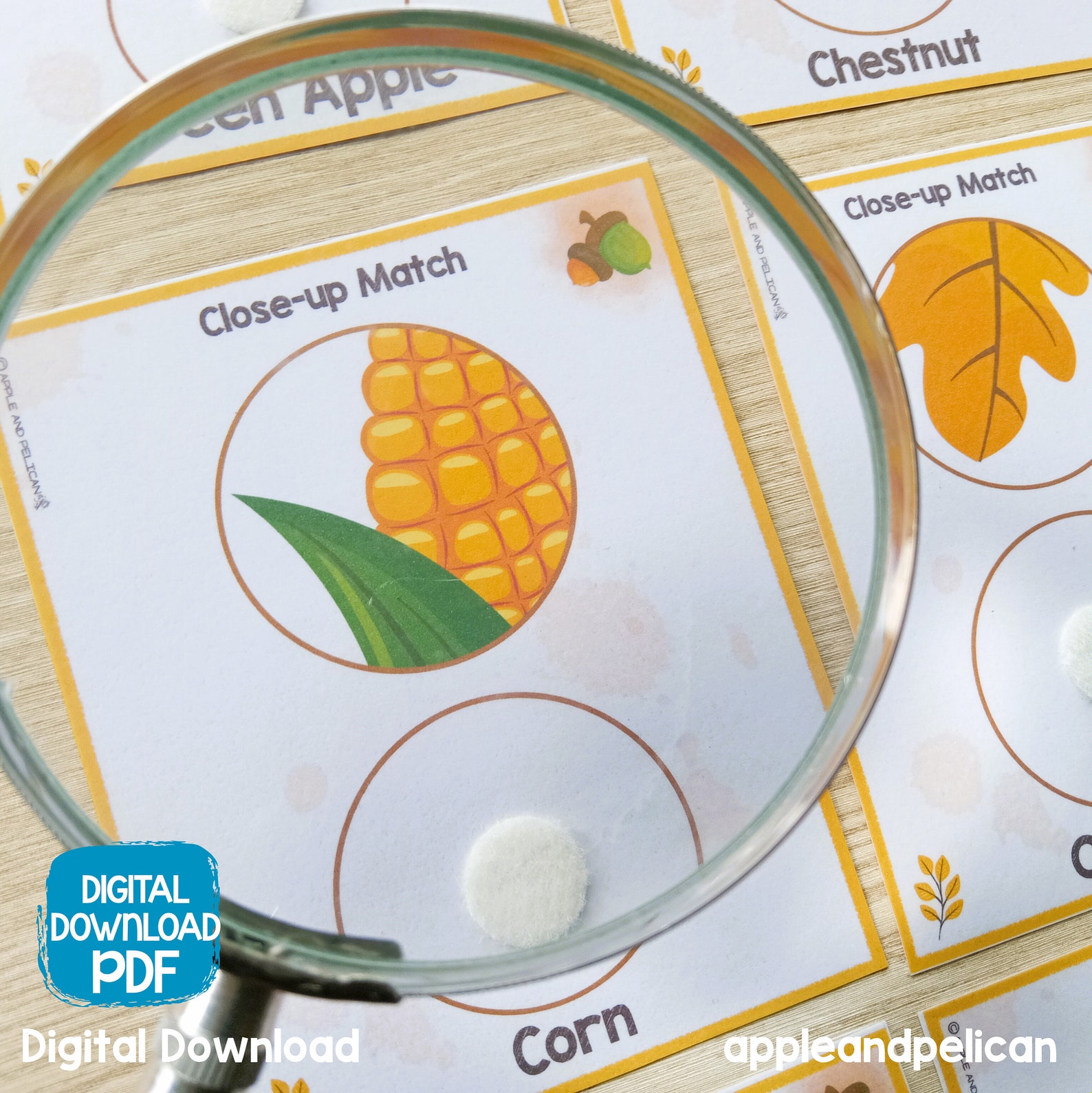 Visual Close up Matching Activity for Kids, Printable Fall Visual ...