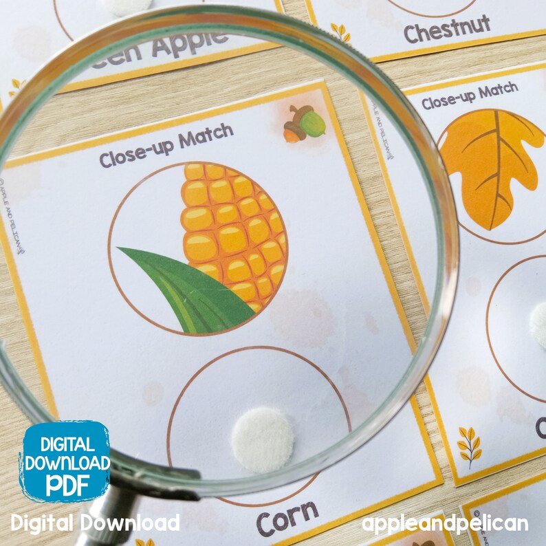 Visual Close up Matching Activity for Kids, Printable Fall Visual ...
