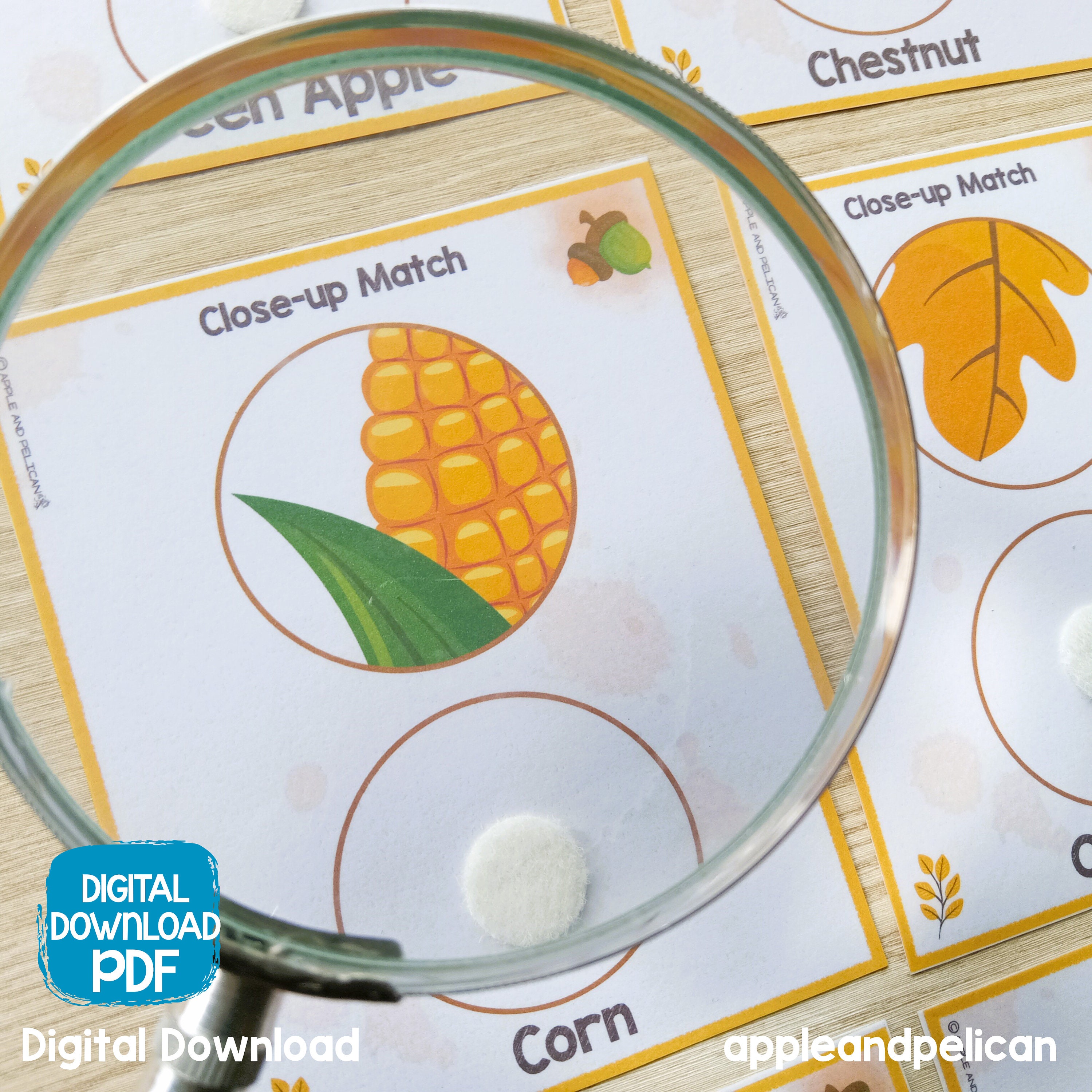 Visual Close up Matching Activity for Kids, Printable Fall Visual ...