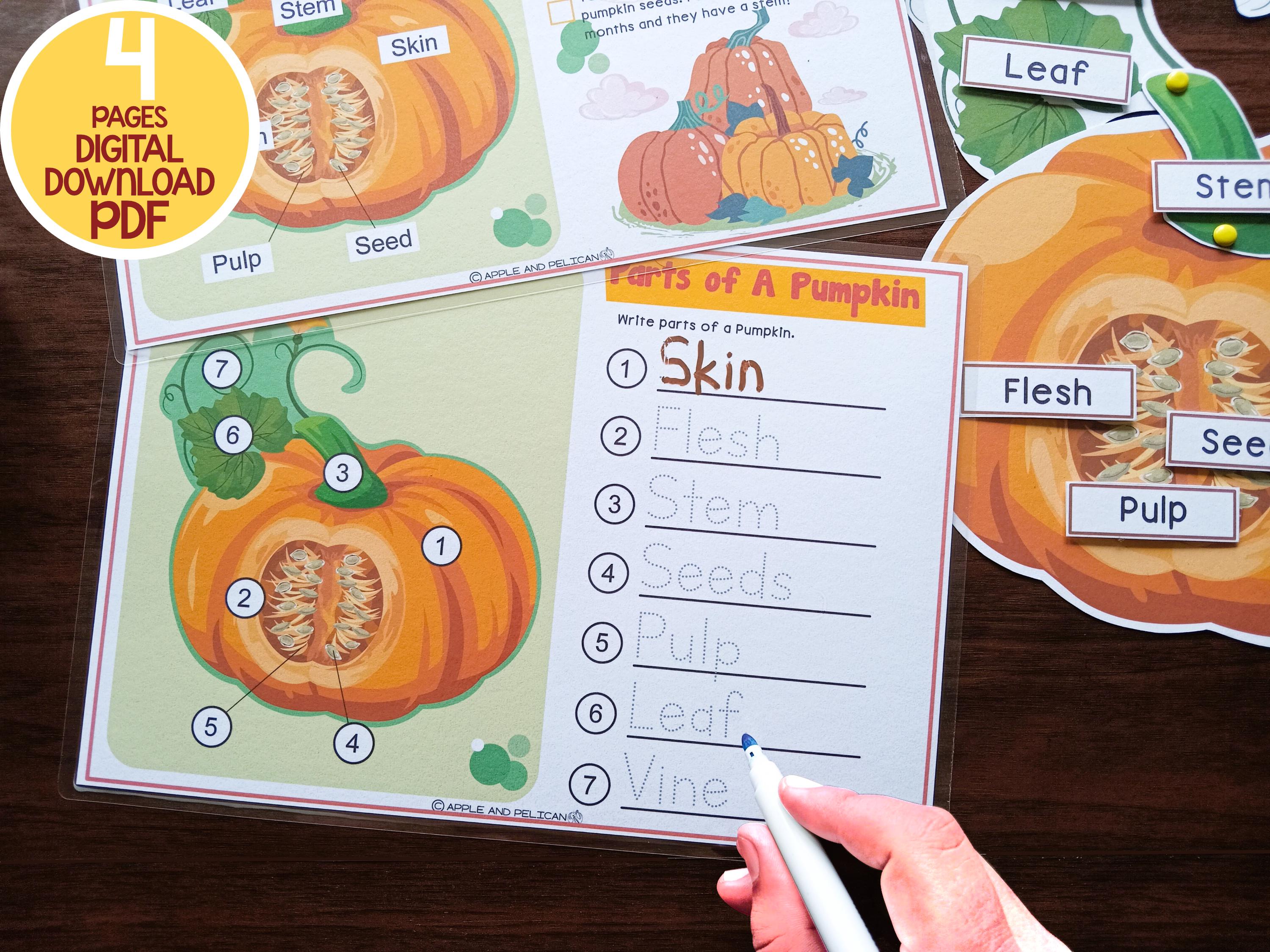 Pumpkin Anatomy Labeling Activity, Preschool Activity, Fall Activity ...