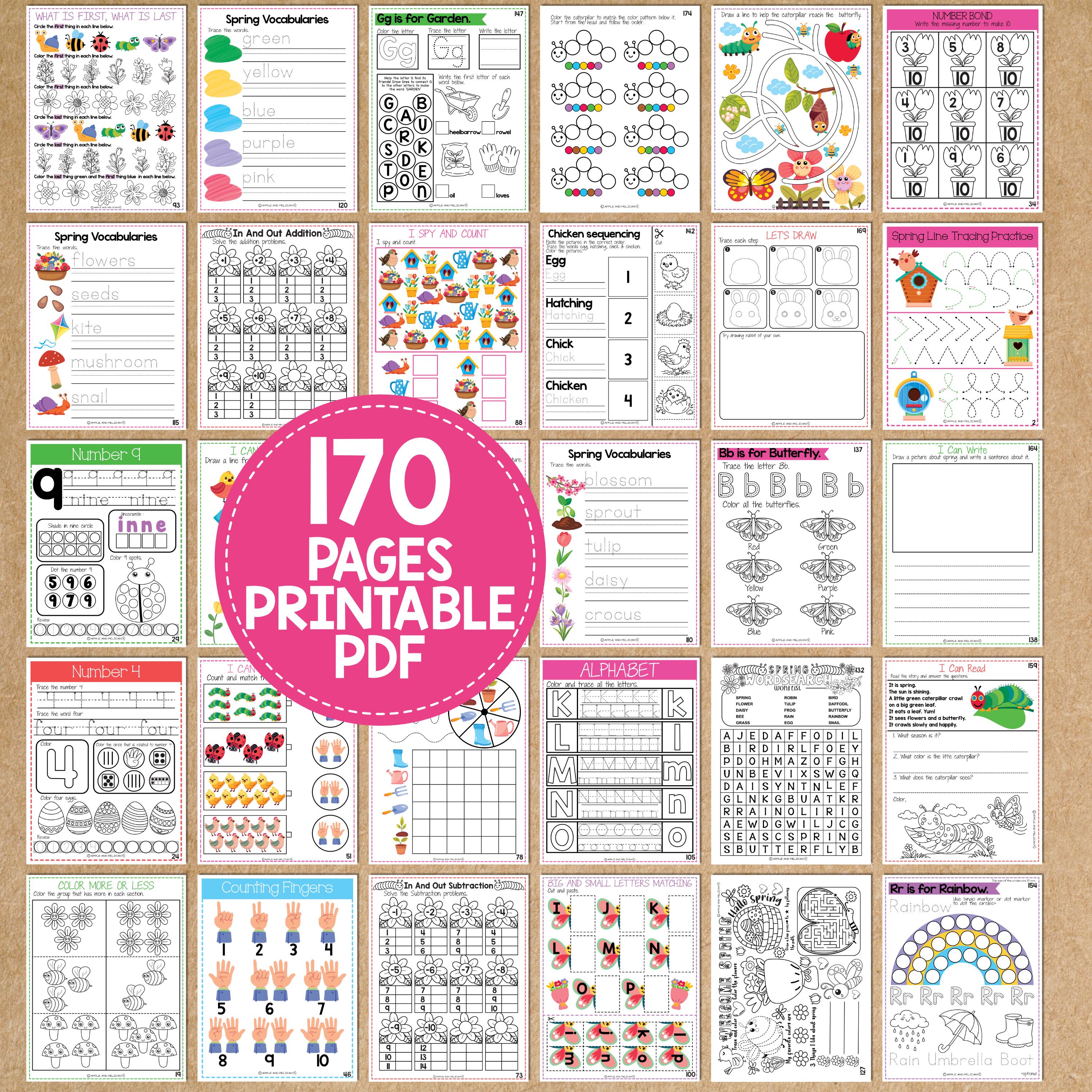 Spring Preschool Kindergarten Activity Packet, Kid Activity, Homeschool ...