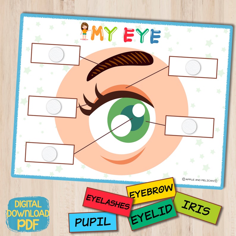 Body Parts Name Matching Learning Game Activity Printable Preschool ...