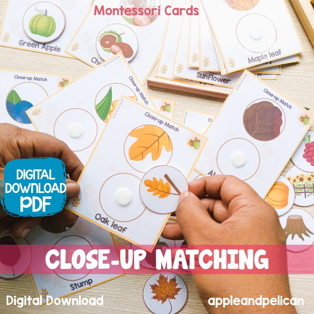 Visual Close up Matching Activity for Kids, Printable Fall Visual ...