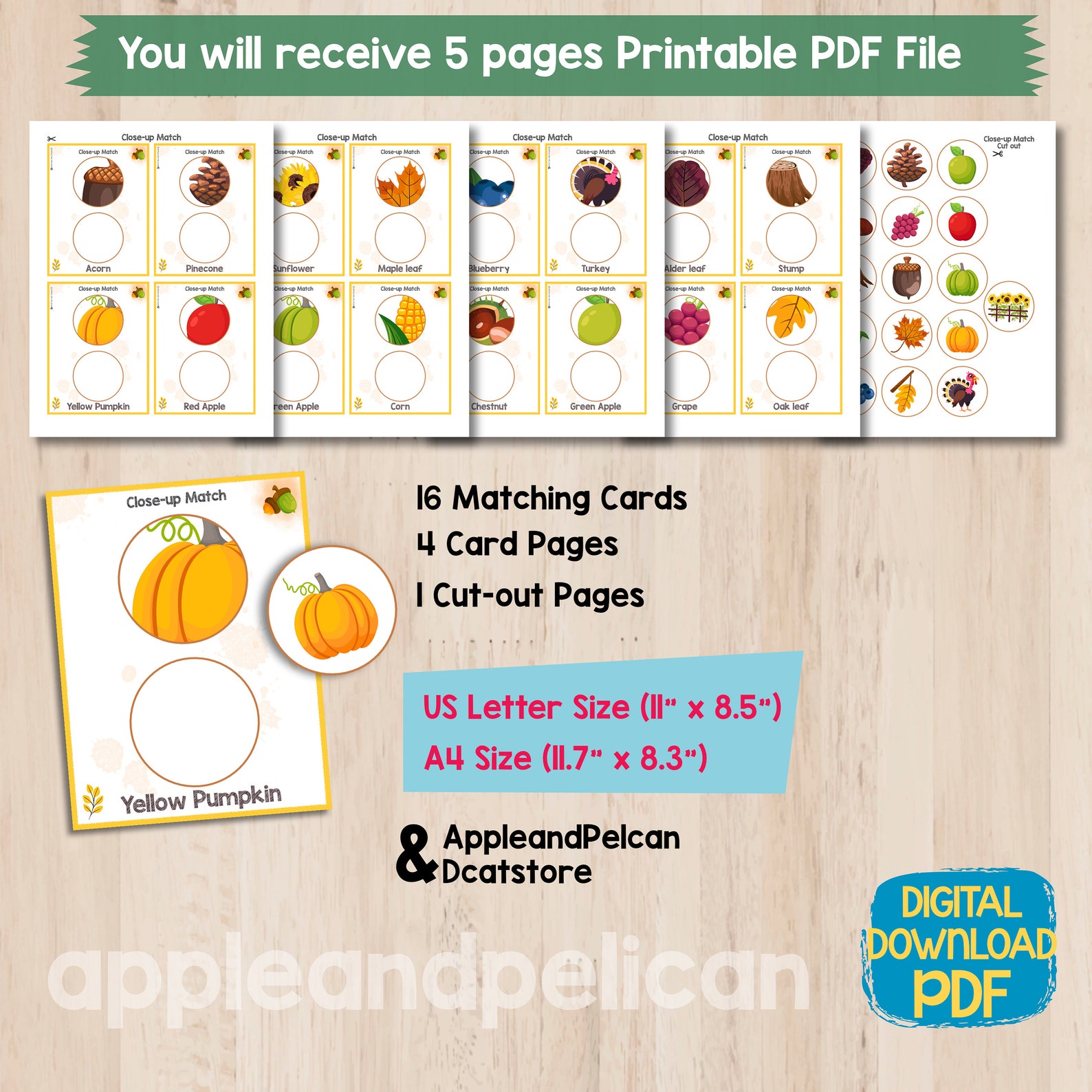 Visual Close up Matching Activity for Kids, Printable Fall Visual ...