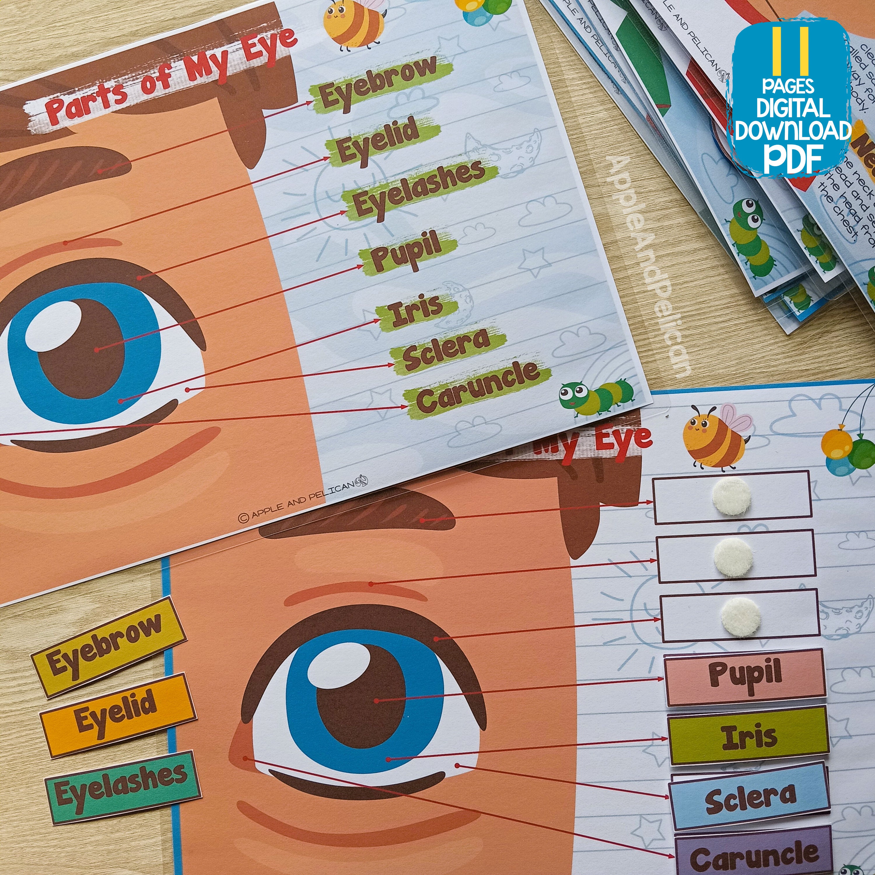 Face Parts Activity Bundle, Boy Part of Face Learning Binder Printable ...