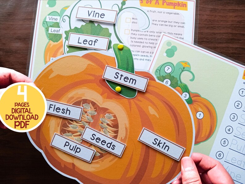 Pumpkin Anatomy Labeling Activity, Preschool Activity, Fall Activity ...