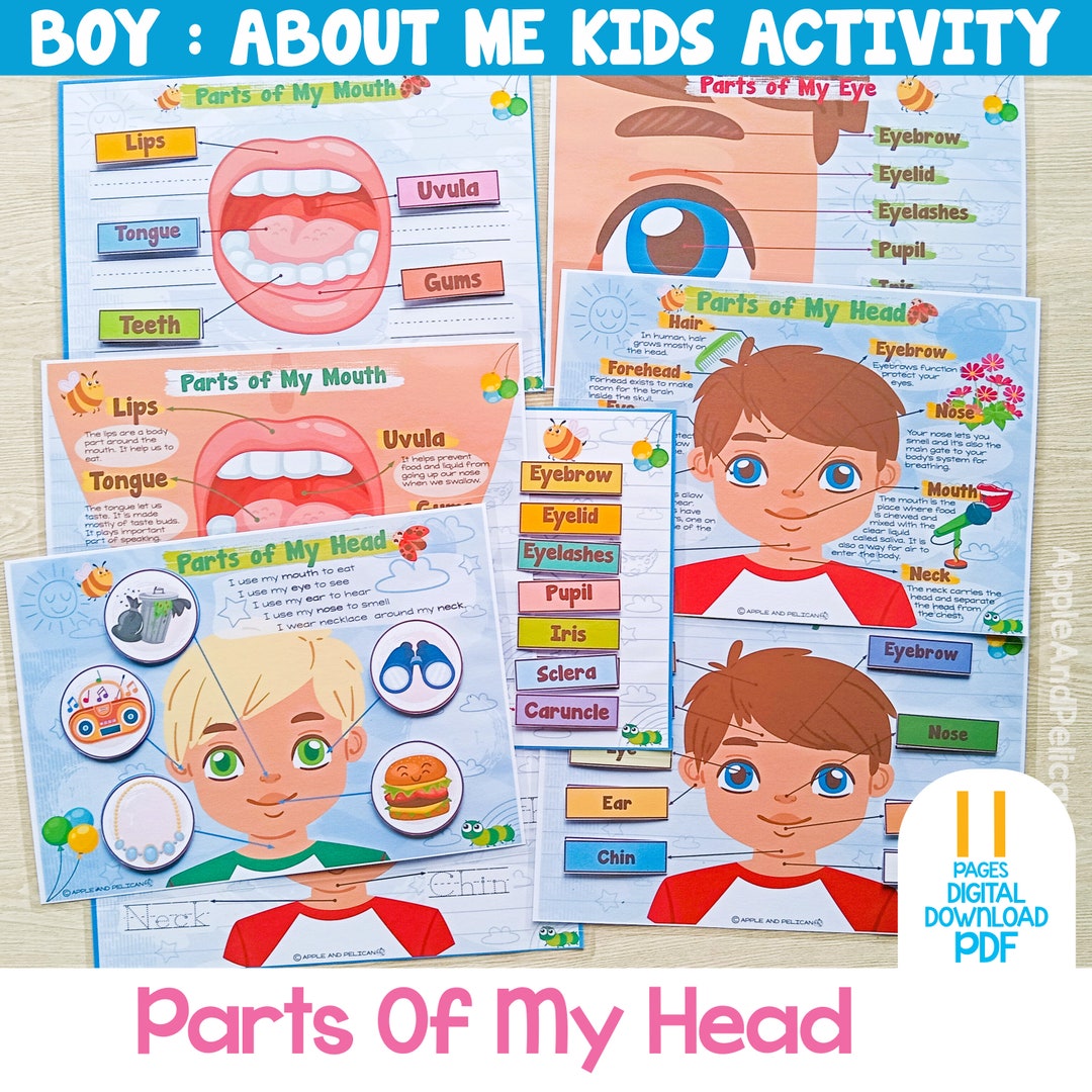 Boy Face Parts Activity Printable, Body Part Learning Binder, About Me ...