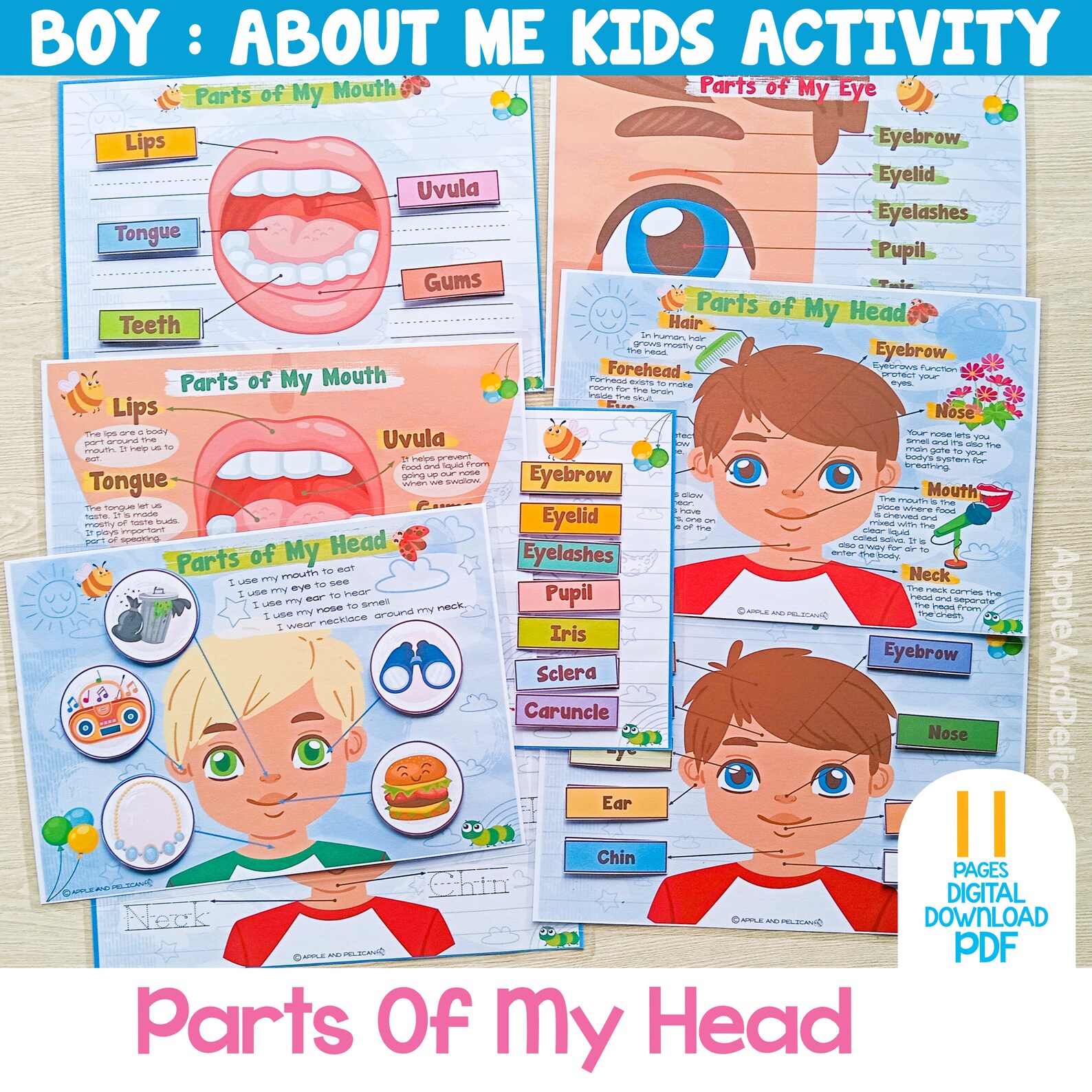 Face Parts Activity Bundle, Boy Part of Face Learning Binder Printable ...