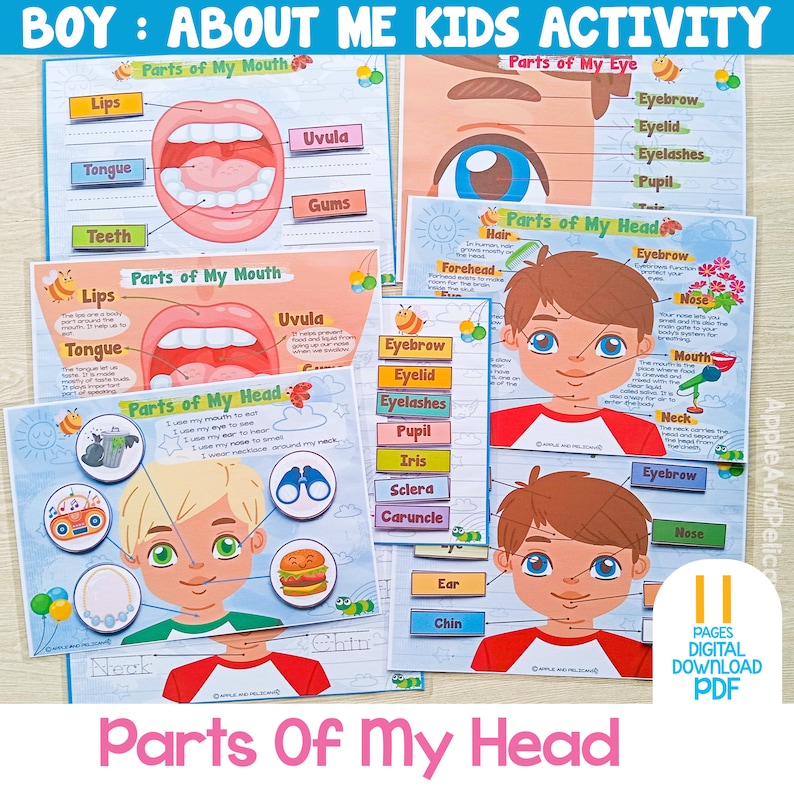 Face Parts Activity Bundle, Boy Part of Face Learning Binder Printable ...
