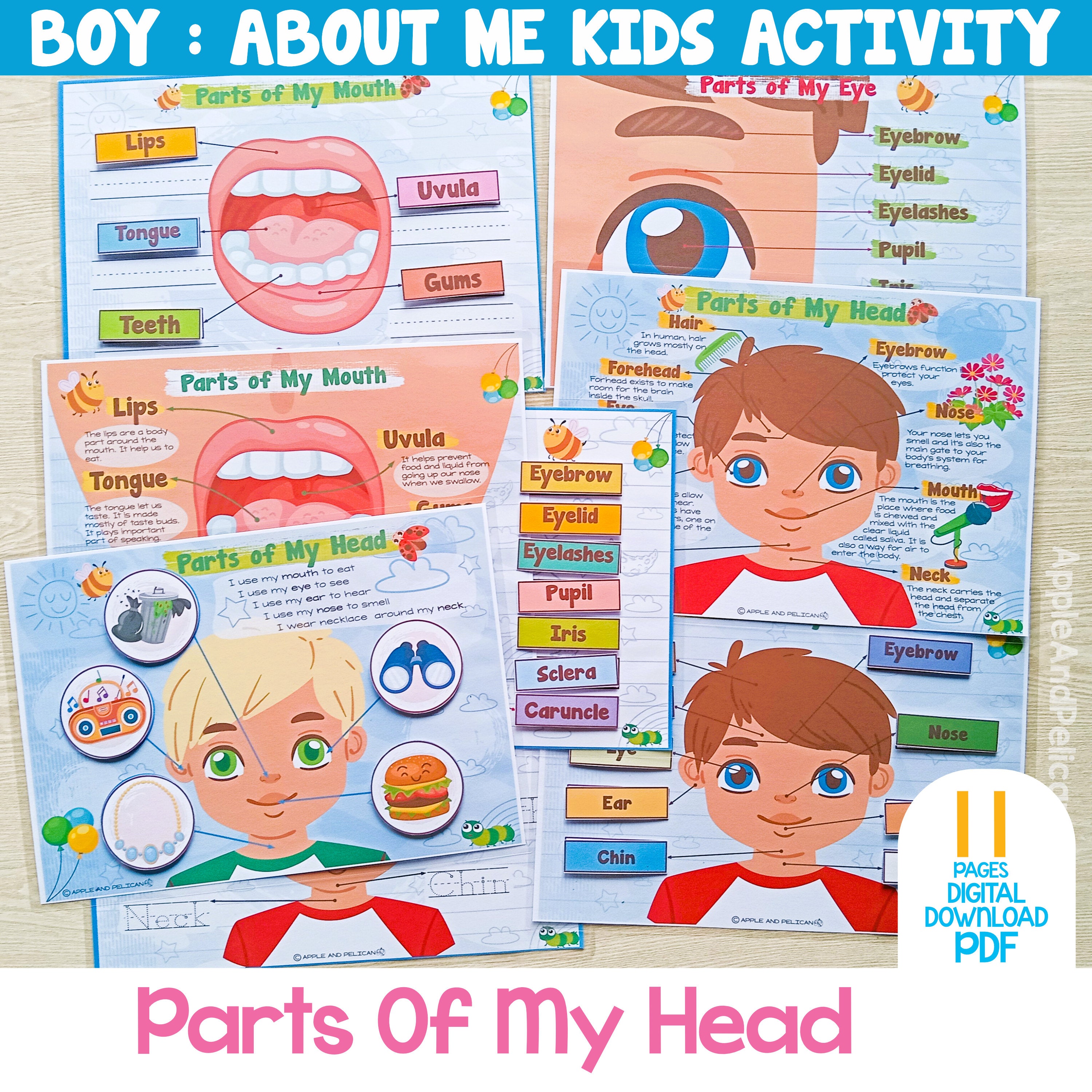 Face Parts Activity Bundle, Boy Part of Face Learning Binder Printable ...