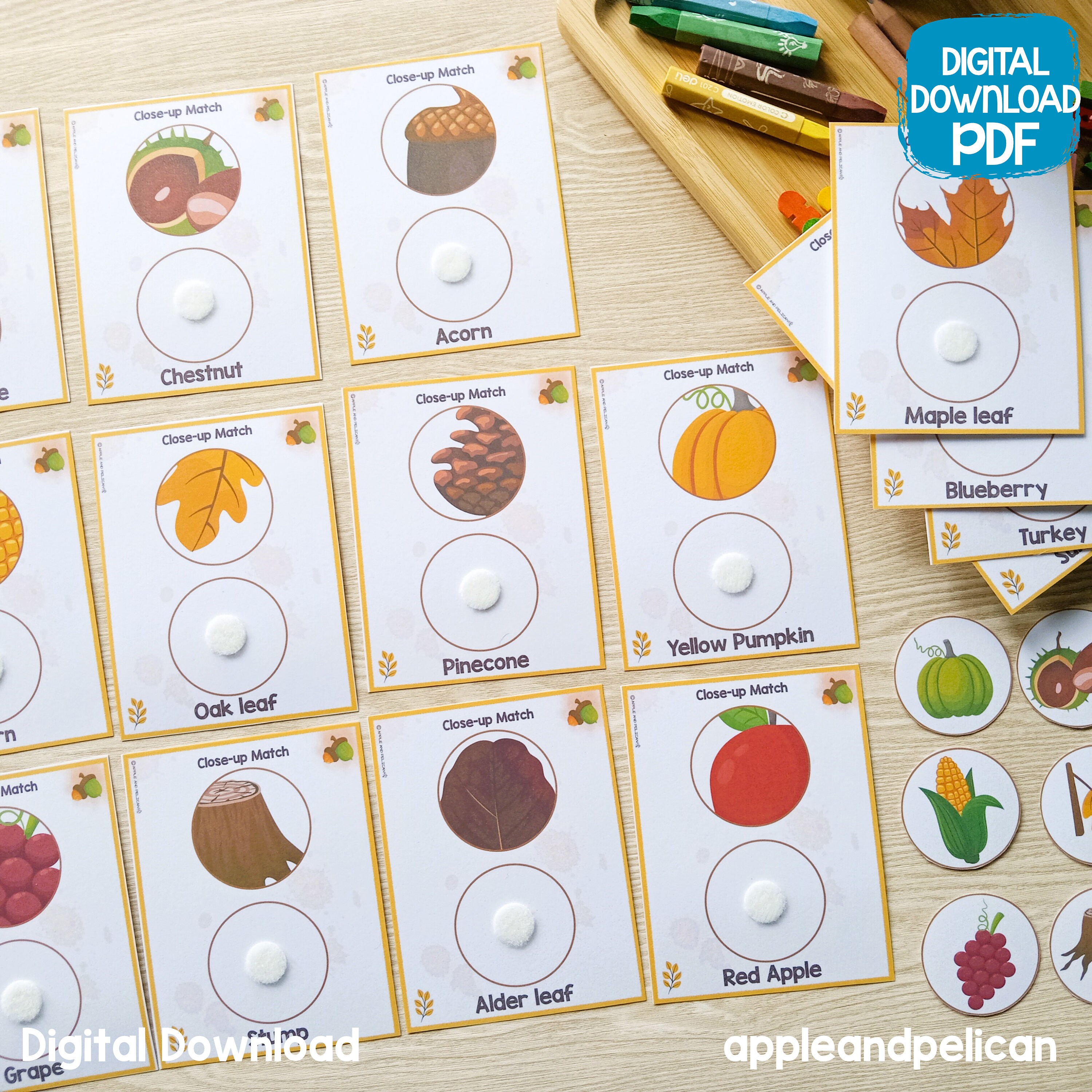 Visual Close up Matching Activity for Kids, Printable Fall Visual ...