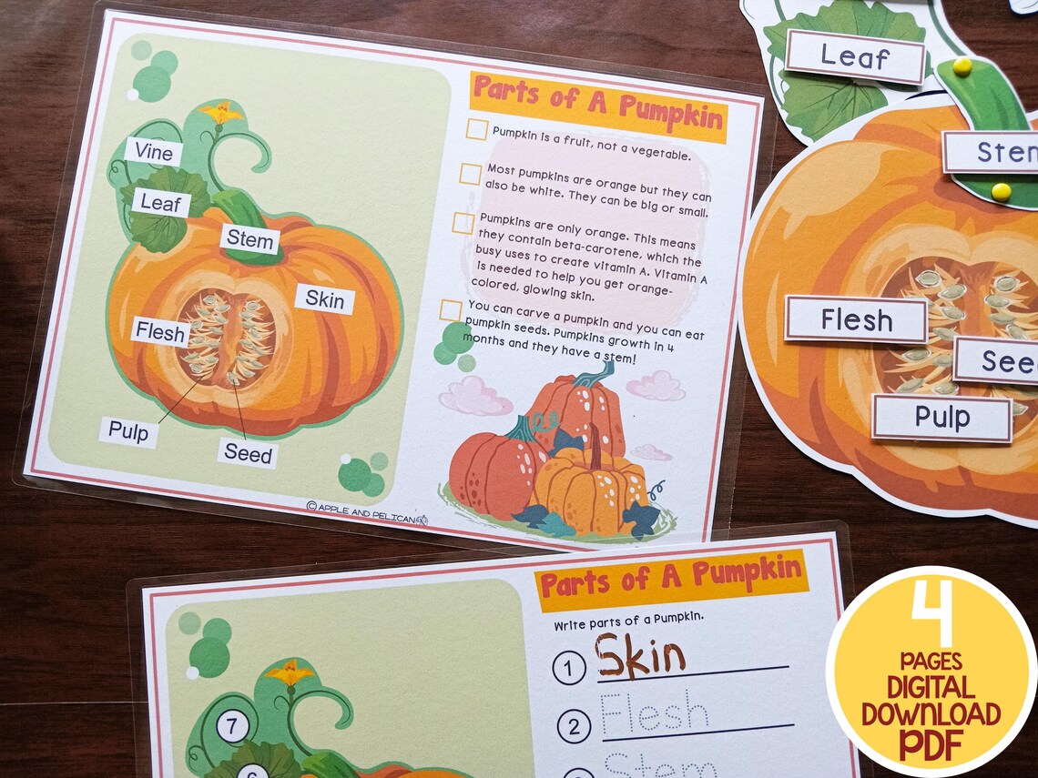 Pumpkin Anatomy Labeling Activity, Preschool Activity, Fall Activity ...