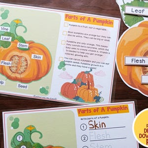 Pumpkin Anatomy Labeling Activity, Preschool Activity, Fall Activity ...
