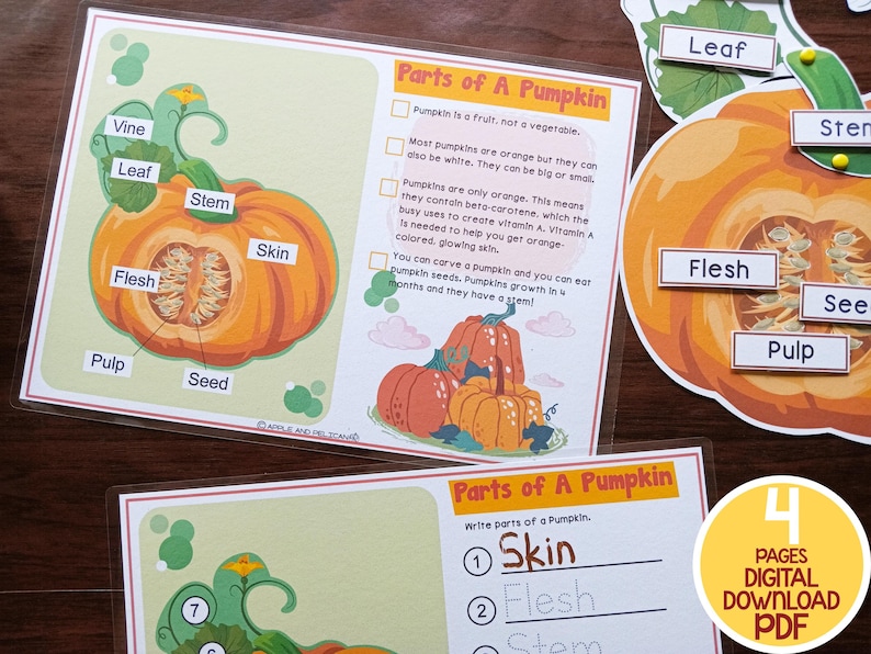Pumpkin Anatomy Labeling Activity, Preschool Activity, Fall Activity ...