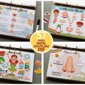 My Body Busy Book, Toddler Learning Binder, Human Body Anatomy Activity ...
