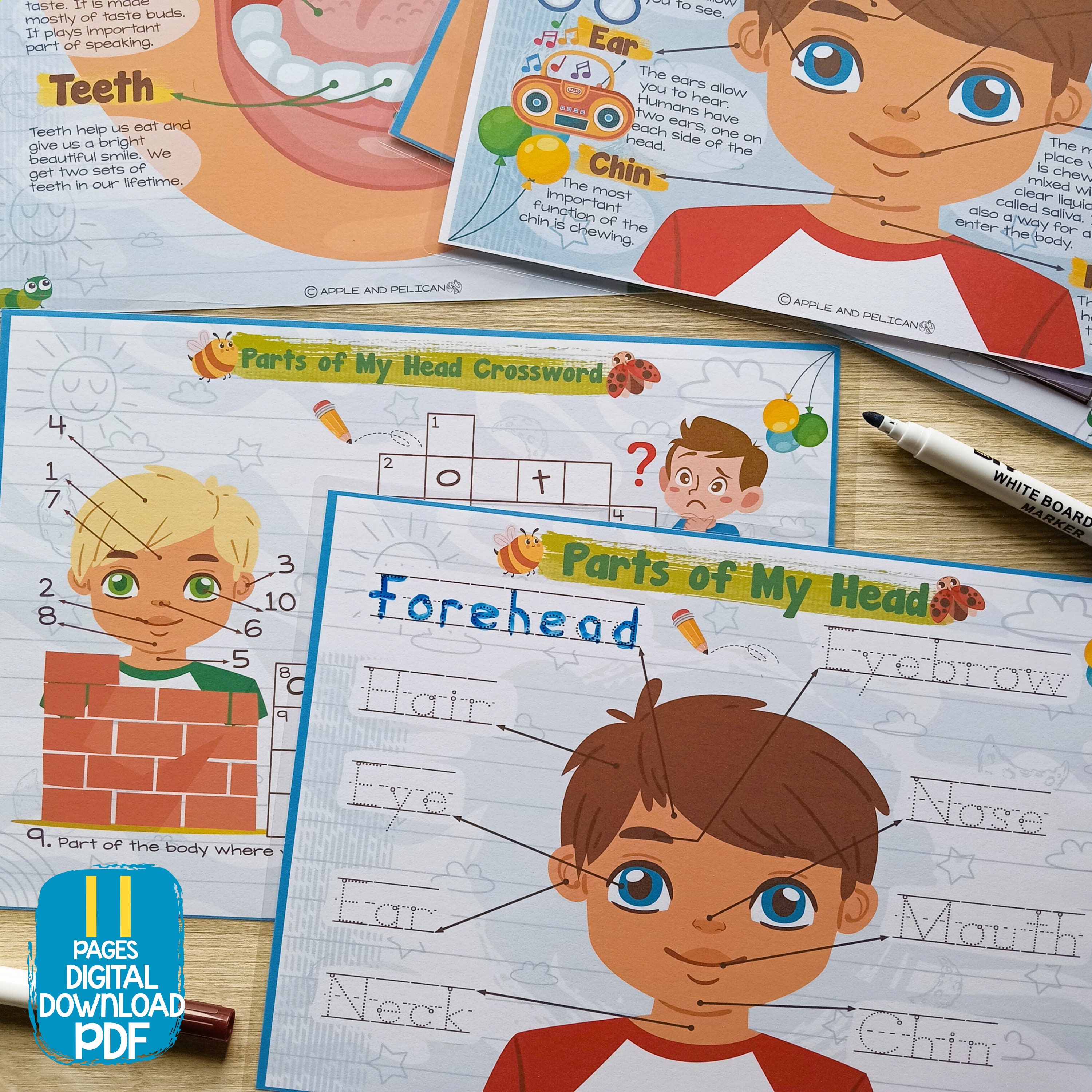 Face Parts Activity Bundle, Boy Part of Face Learning Binder Printable ...