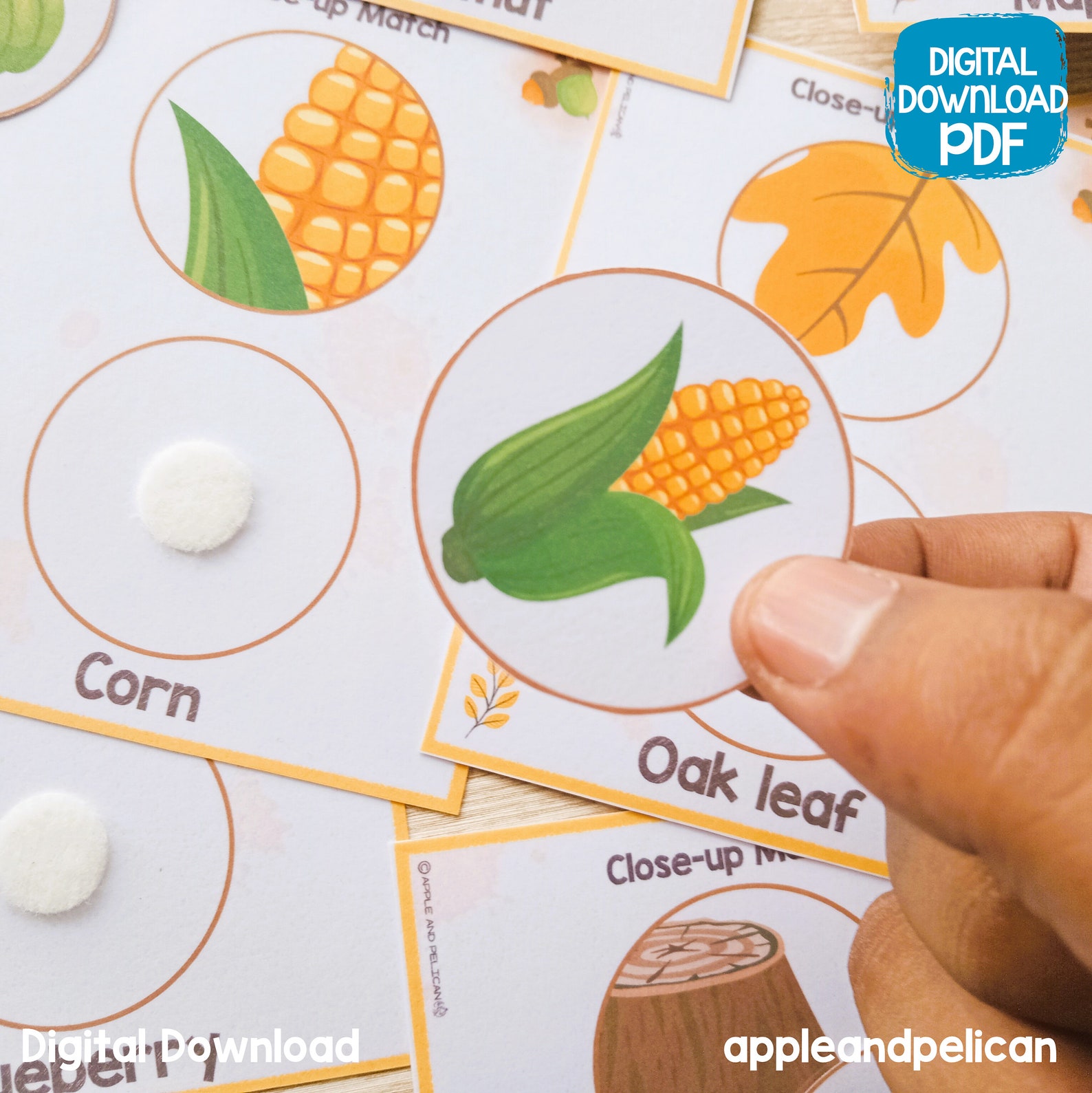 Visual Close up Matching Activity for Kids, Printable Fall Visual ...