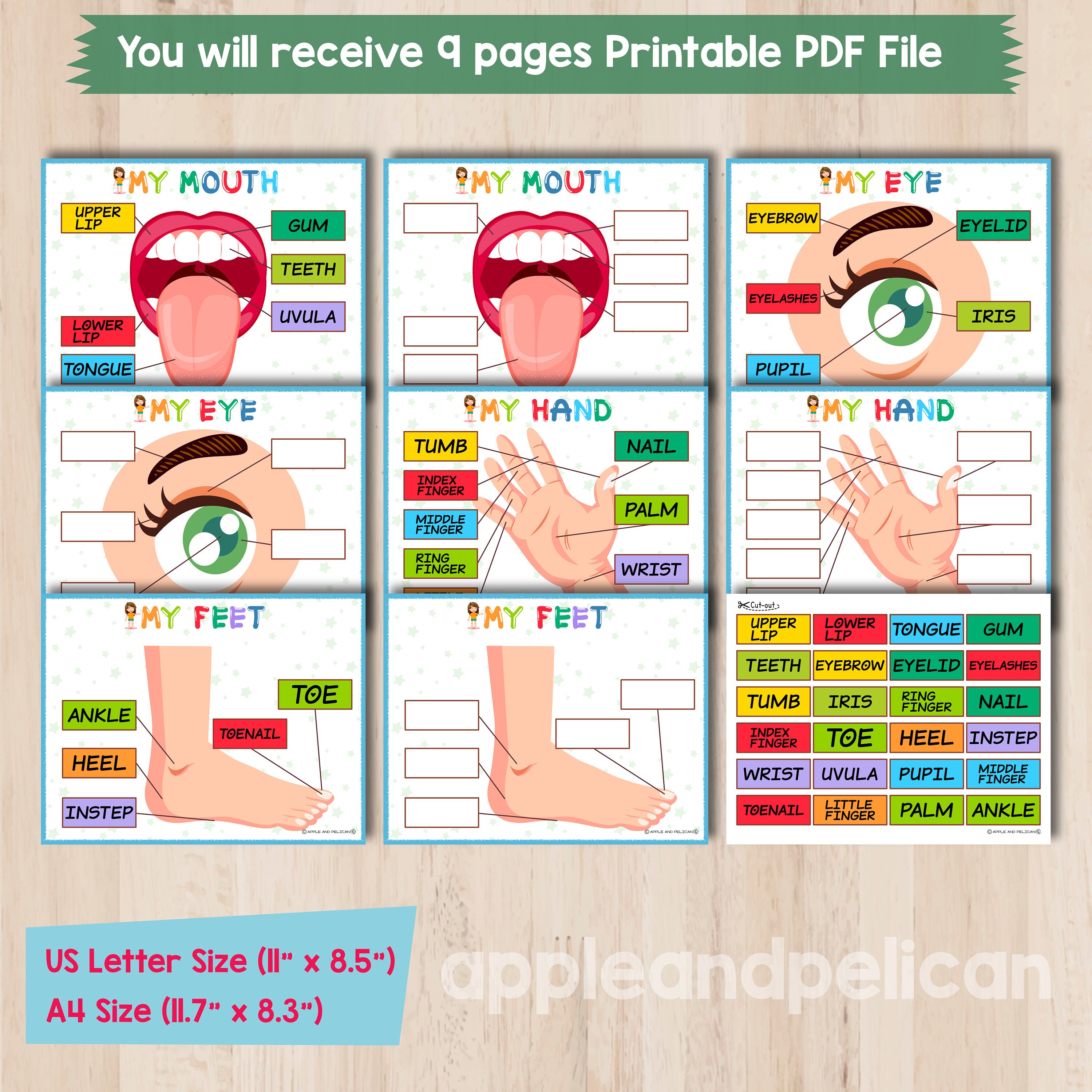 Body Parts Name Matching Learning Game Activity Printable Preschool ...
