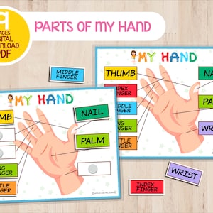 Body Parts Name Matching Learning Game Activity Printable Preschool ...