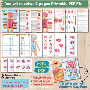 Human Anatomy Activity Unit, Printable Human Body Organ Matching ...