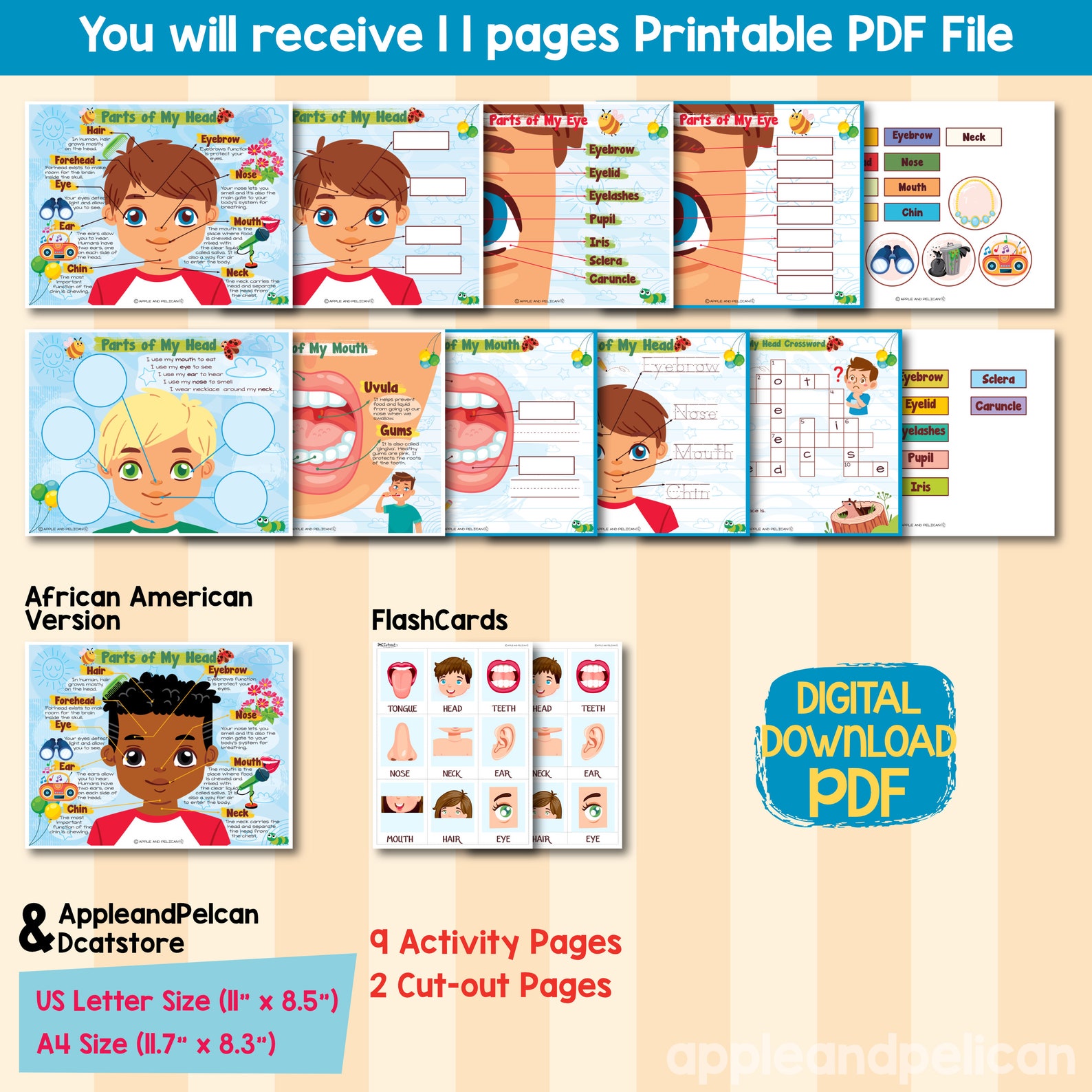 Face Parts Activity Bundle, Boy Part of Face Learning Binder Printable ...