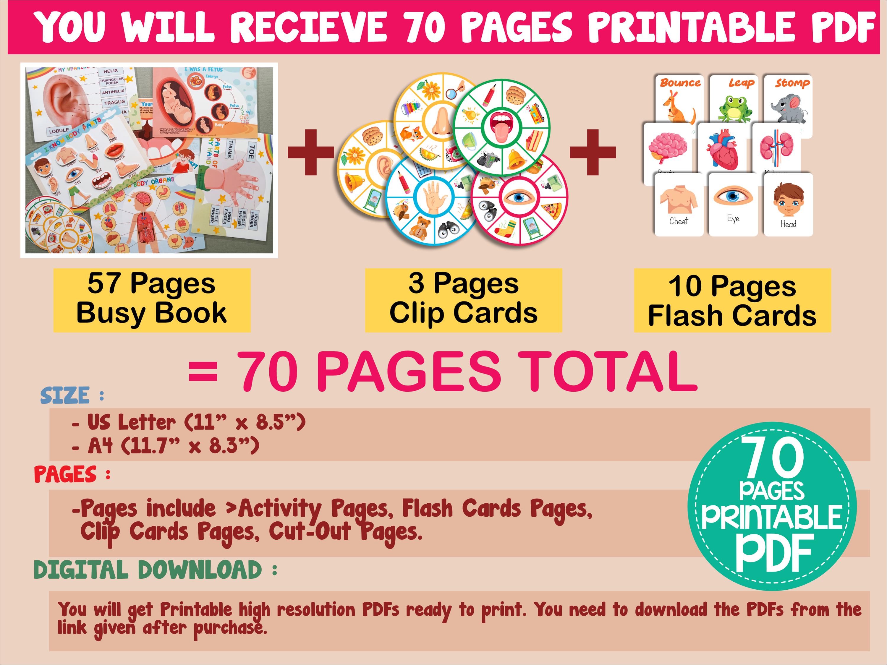 My Body Busy Book, Toddler Learning Binder, Human Body Anatomy Activity ...