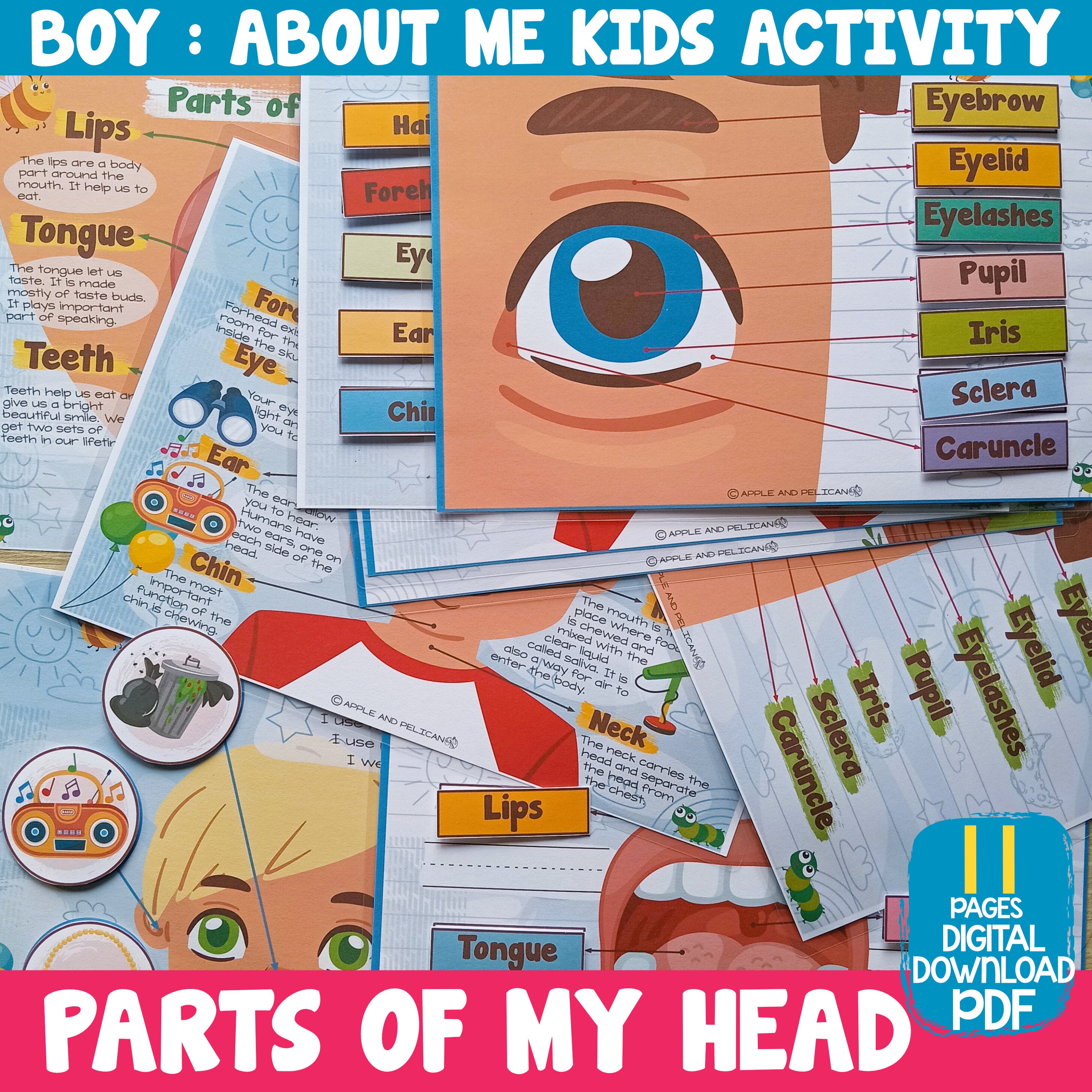Face Parts Activity Bundle, Boy Part of Face Learning Binder Printable ...