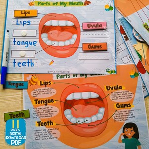 Face Parts Activity, Girl Part of Face Learning Binder, Printable ...