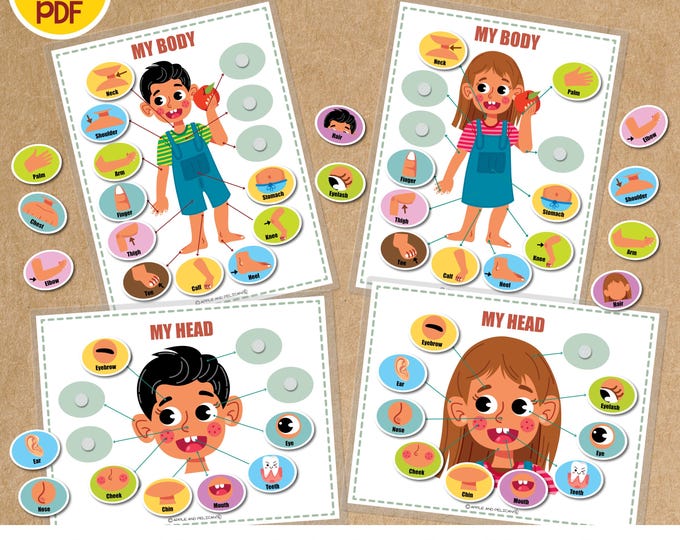 Body Parts Matching Activity for Toddlers, Human Body, Toddler Busy ...