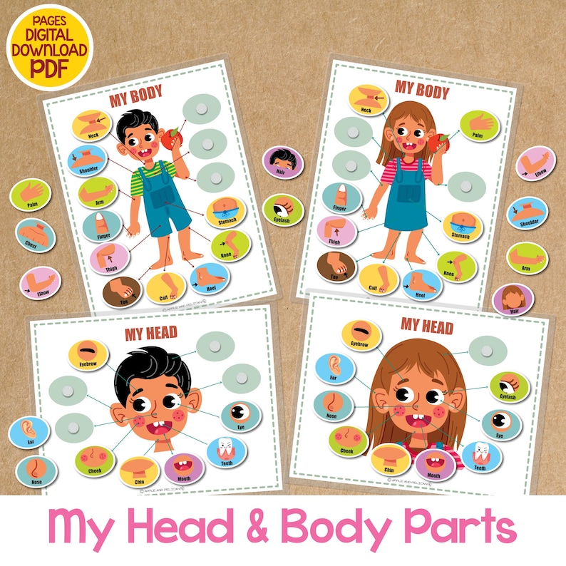 Body Parts Matching Game, Printable Parts of the Body, Toddler Busy ...