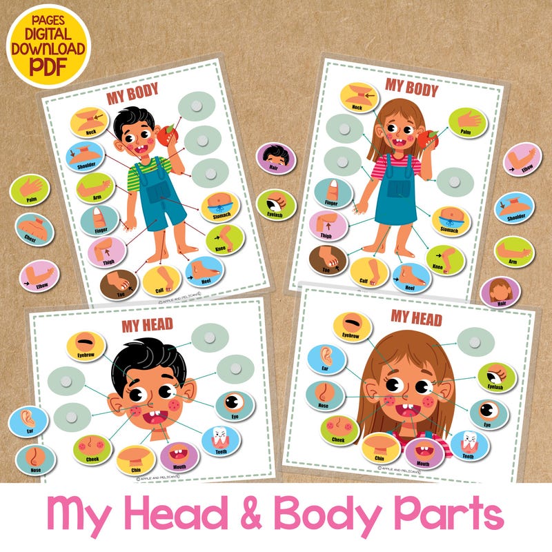 Body Parts Chart Kids - Etsy UK