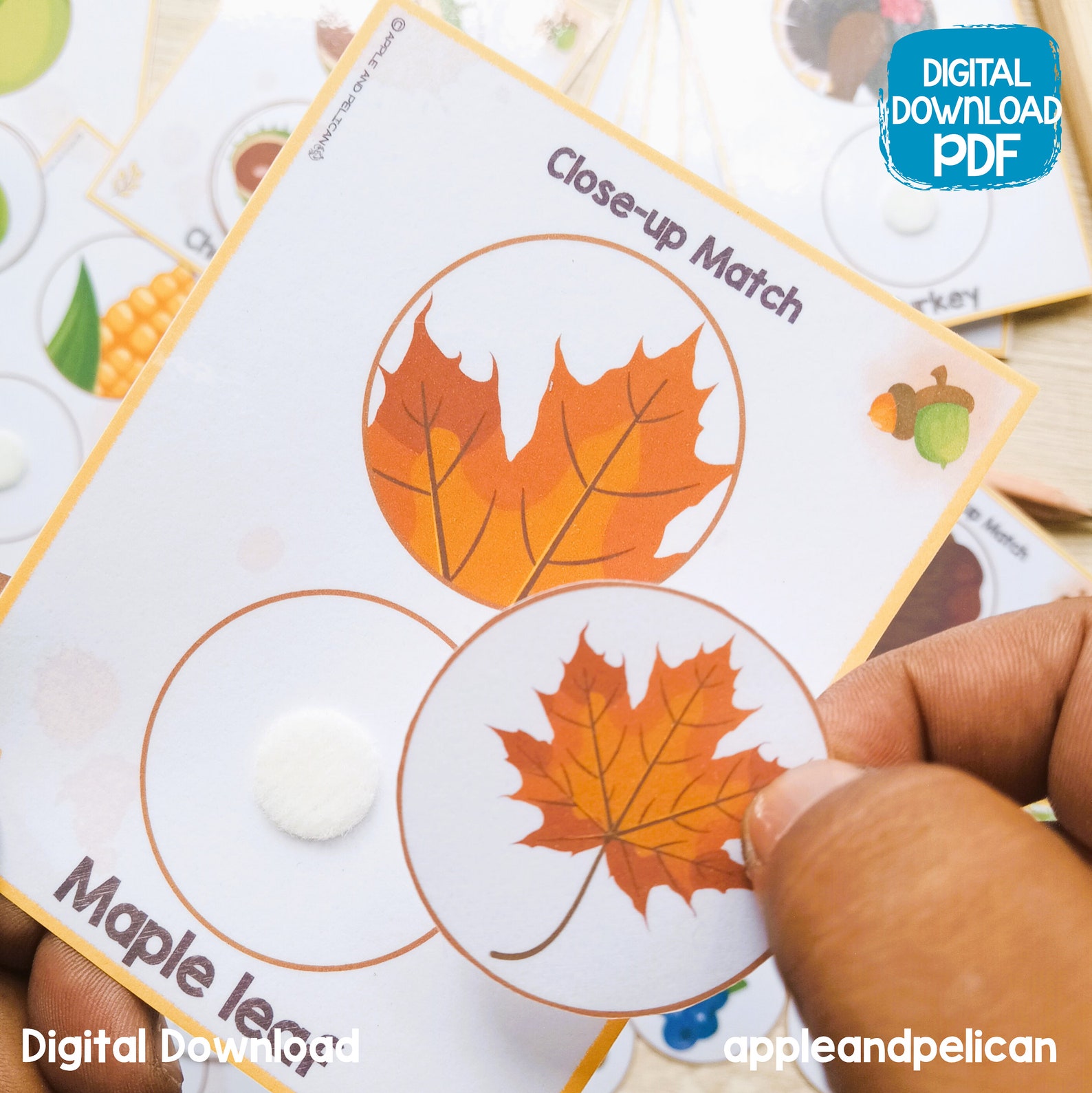 Visual Close up Matching Activity for Kids, Printable Fall Visual ...
