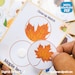 Visual Close up Matching Activity for Kids, Printable Fall Visual ...