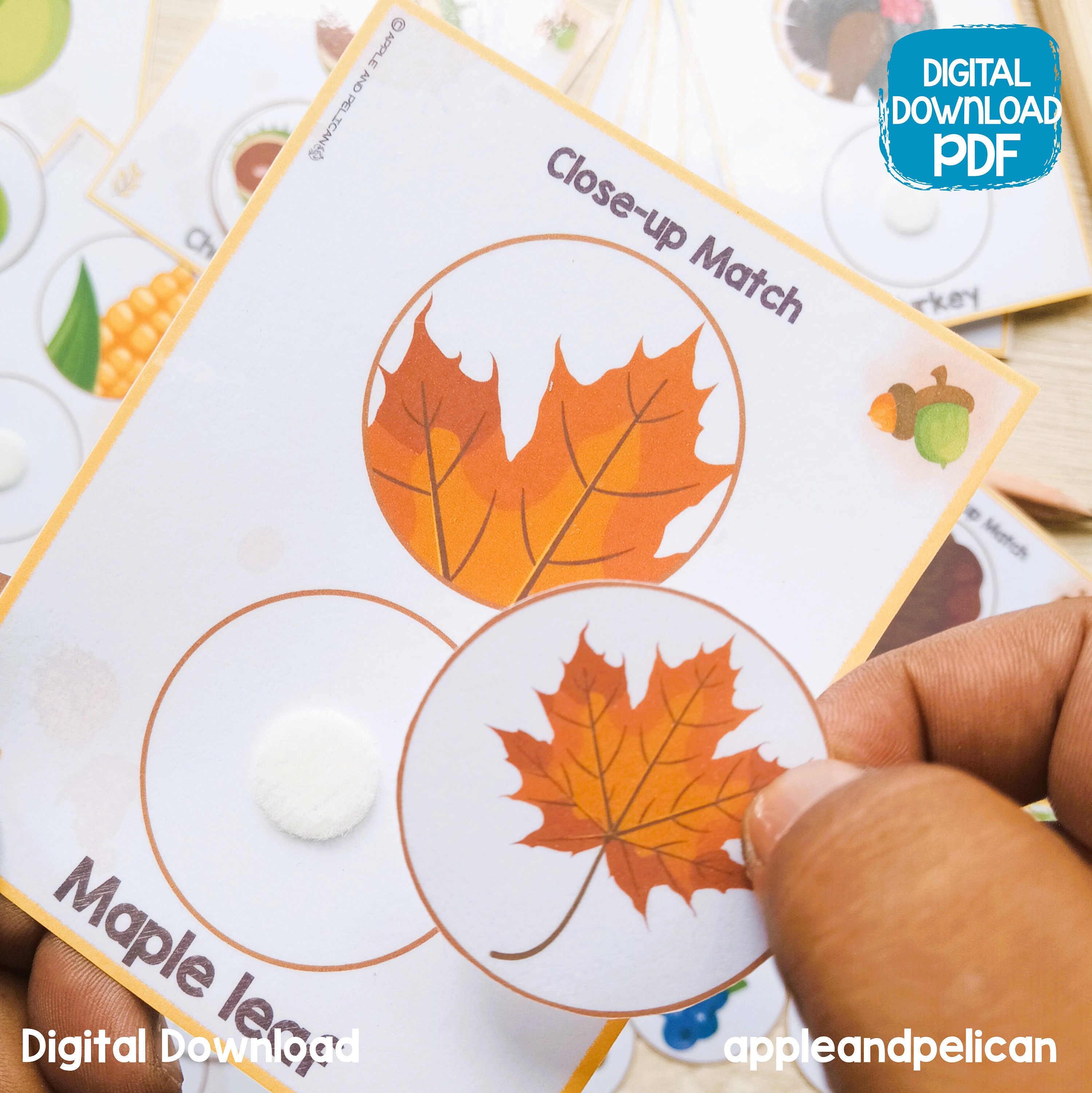 Visual Close up Matching Activity for Kids, Printable Fall Visual ...