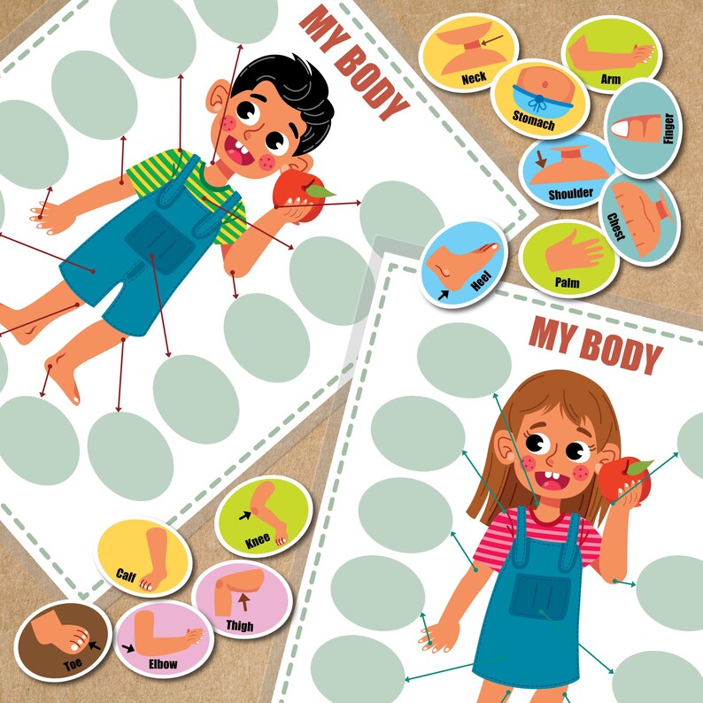 Body Parts Matching Game, Printable Parts of the Body, Toddler Busy ...
