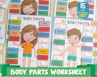 Toddler Busy Book Page Body Parts Matching Toddler Learning - Etsy