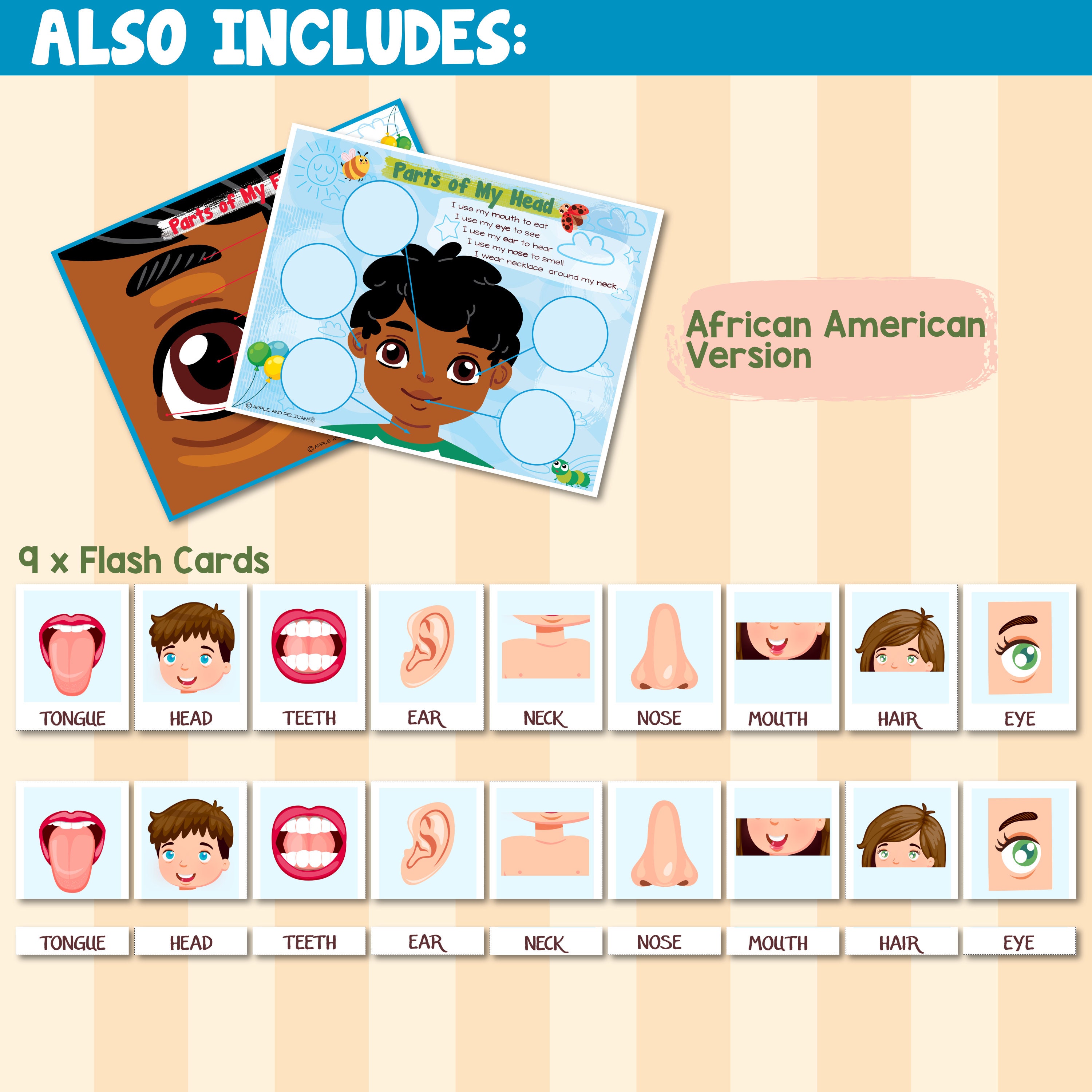 Face Parts Activity Bundle, Boy Part of Face Learning Binder Printable ...