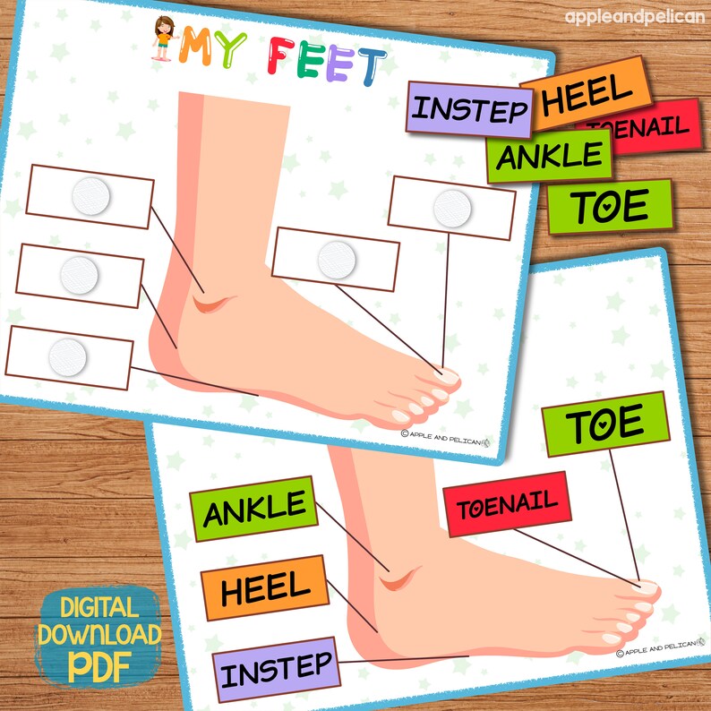 Body Parts Name Matching Learning Game Activity Printable Preschool ...