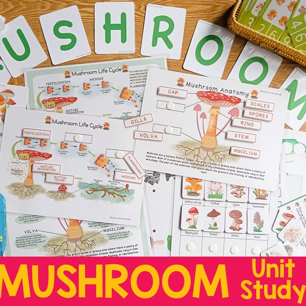 Homeschool Science - Etsy