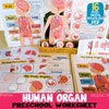 Human Body - Etsy