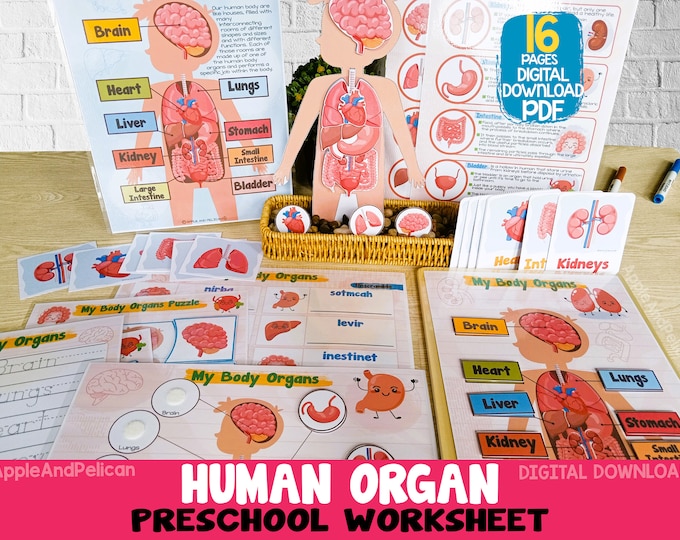 ARABIC Human Anatomy Bundle/unit Study, Body Parts, Organs, Skeleton ...