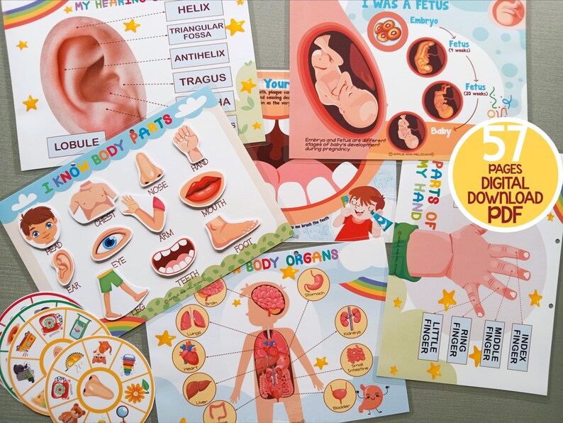My Body Busy Book, Toddler Learning Binder, Human Body Anatomy Activity ...
