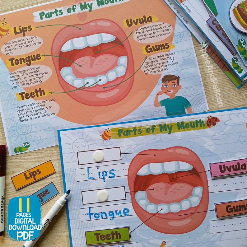 Face Parts Activity Bundle, Boy Part of Face Learning Binder Printable ...