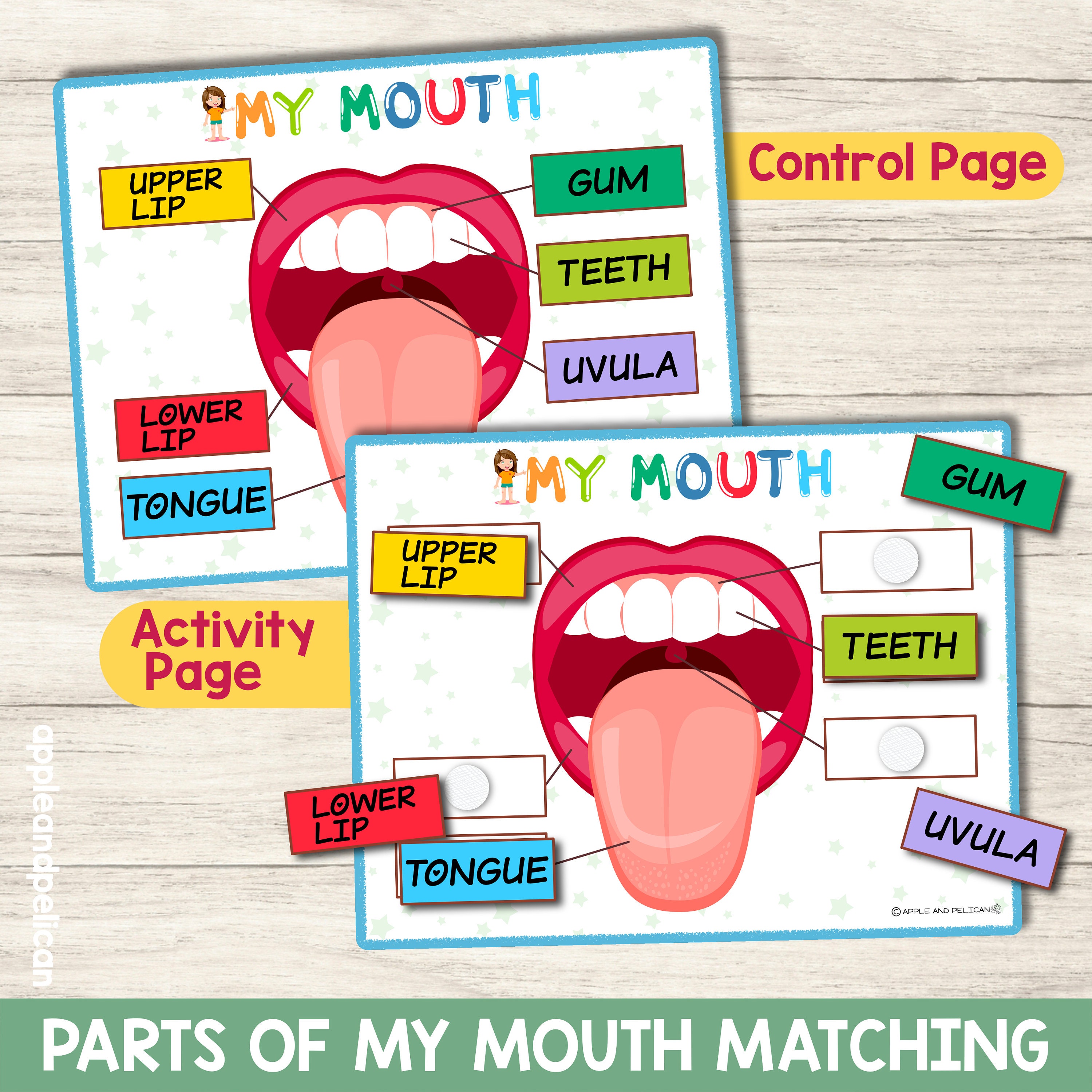 Body Parts Name Matching Learning Game Activity Printable Preschool ...