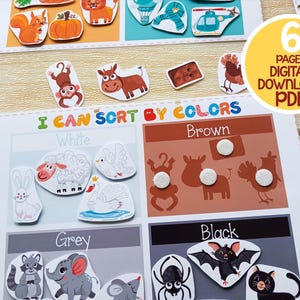 Color Matching Sorting Activity for Kids, Printable Toddler Color ...
