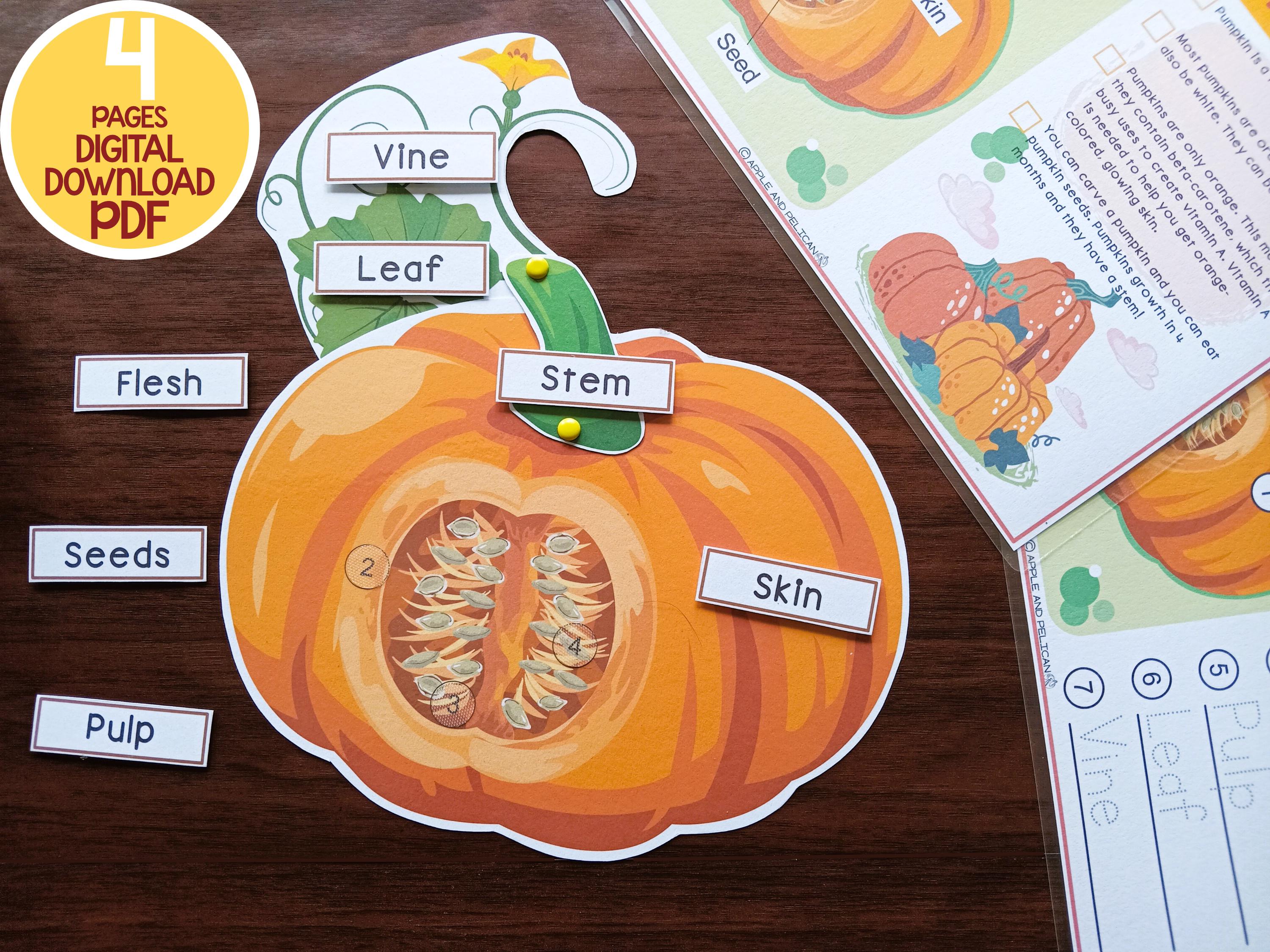 Pumpkin Anatomy Labeling Activity, Preschool Activity, Fall Activity ...
