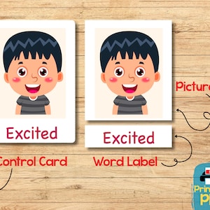 Kids Emotions Matching Activity, Toddler Emotions Worksheet, Feeling ...