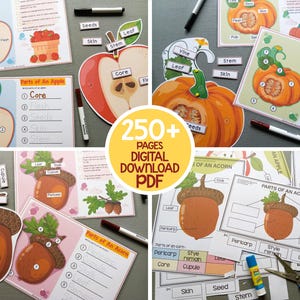 Fall Preschool Activities Packet, Fall Activity for Kids, Autumn ...