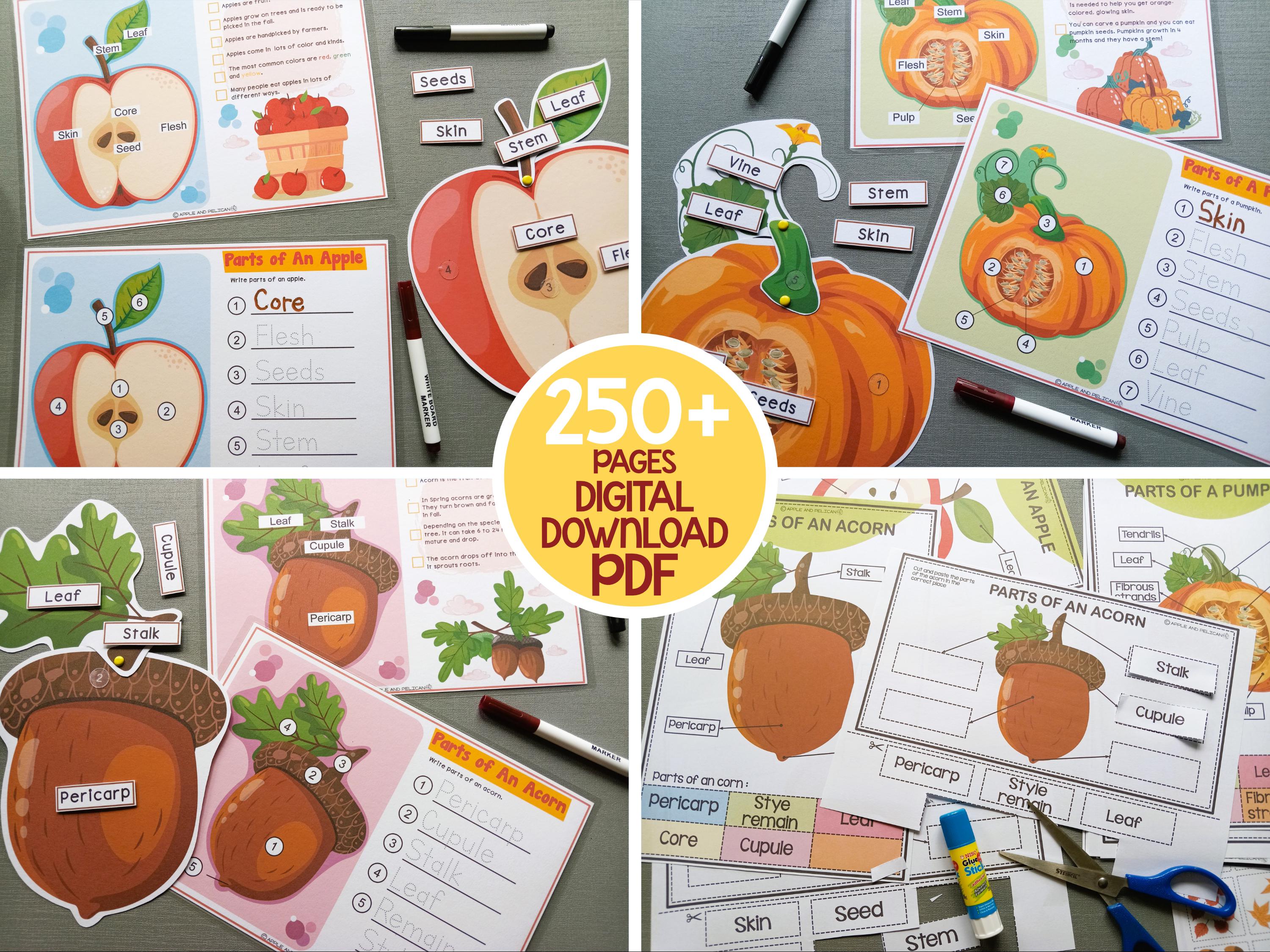 Fall Preschool Activities Packet, Fall Activity for Kids, Autumn ...