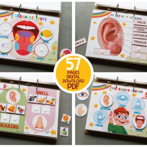 My Body Busy Book, Toddler Learning Binder, Human Body Anatomy Activity ...